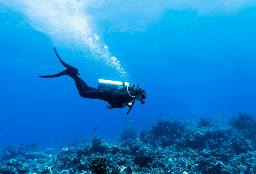 Diving in New Britain | Original Diving