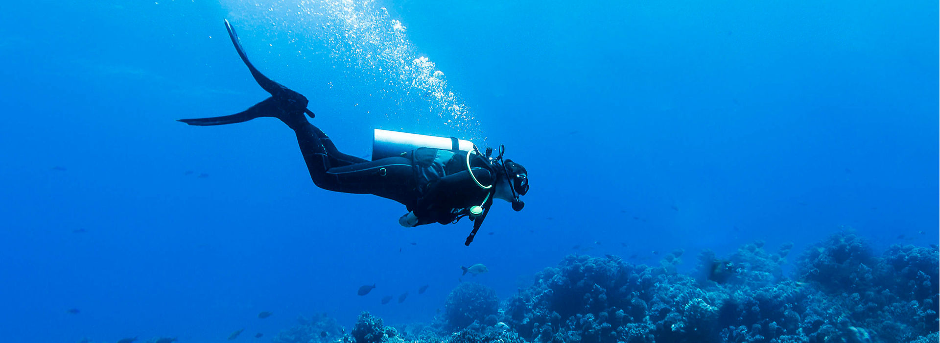 Arenui Liveboard Boat | Original Diving