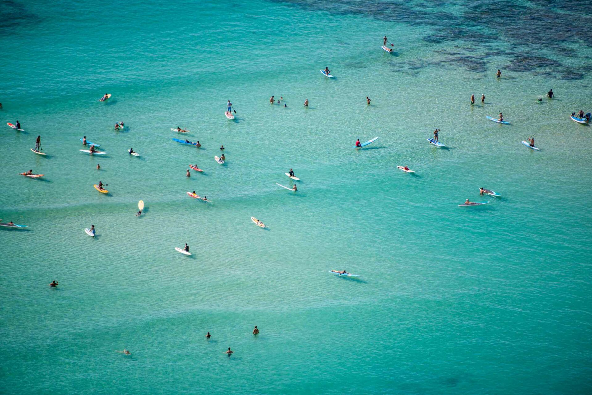 Top Surf and Scuba Destinations - Original Diving