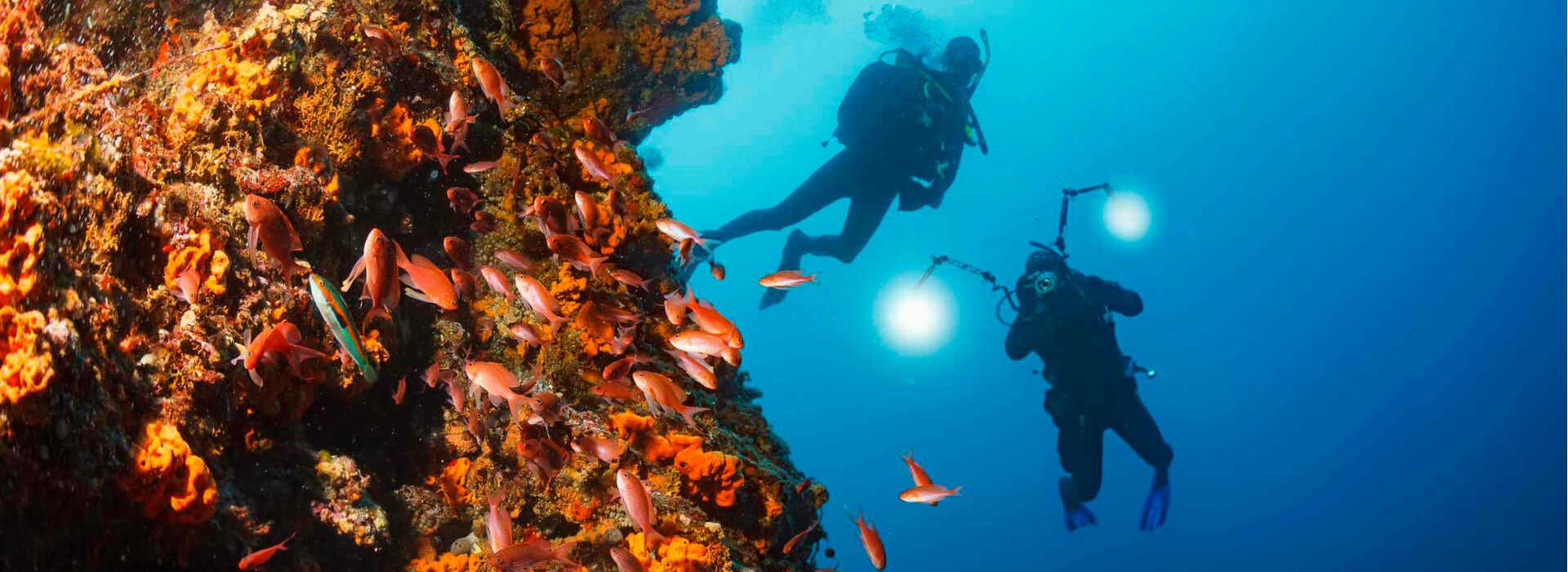 The Best Diving in Europe | Original Diving