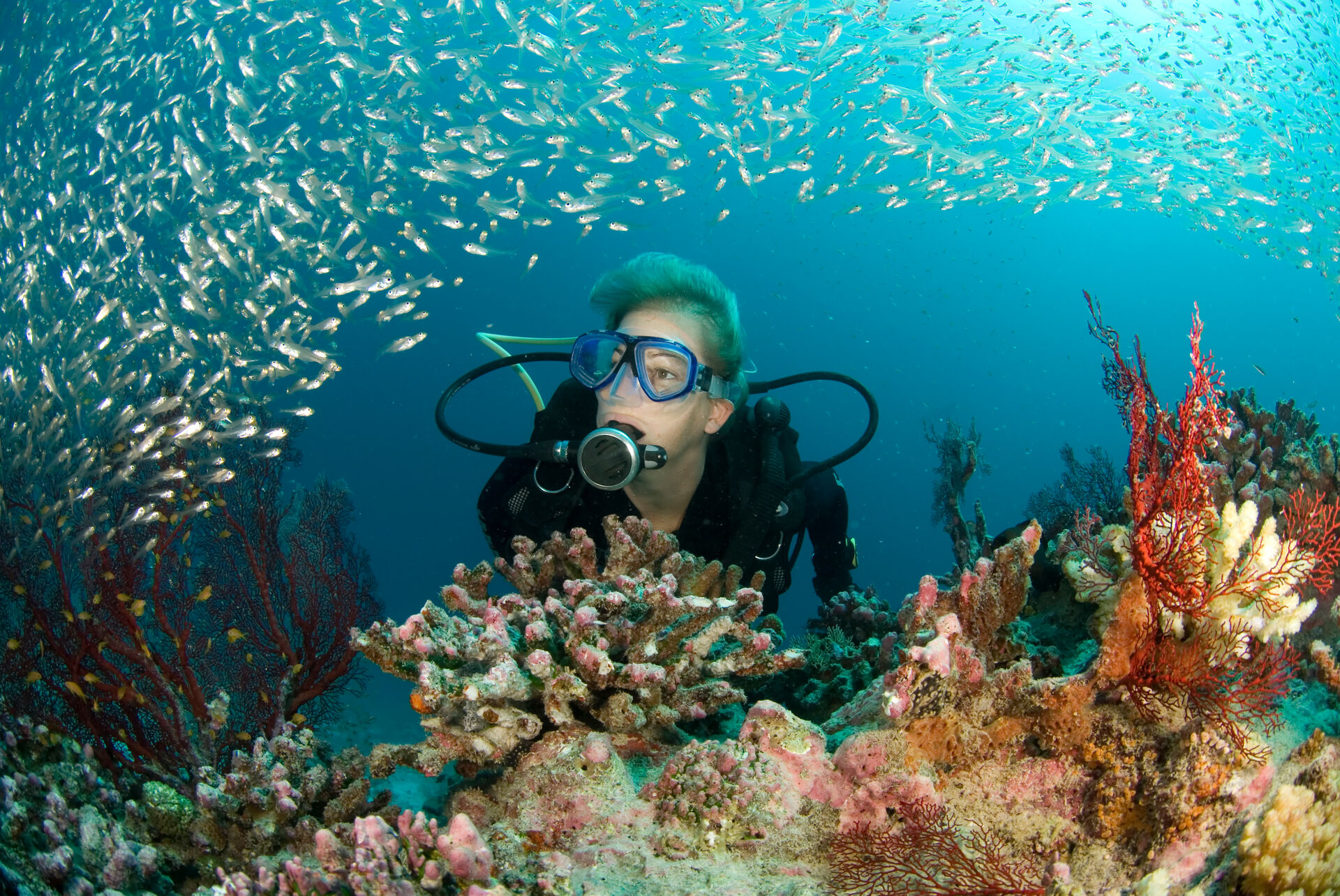 No Troubles, Just Bubbles! Top Tips for Staying Safe When You Dive ...