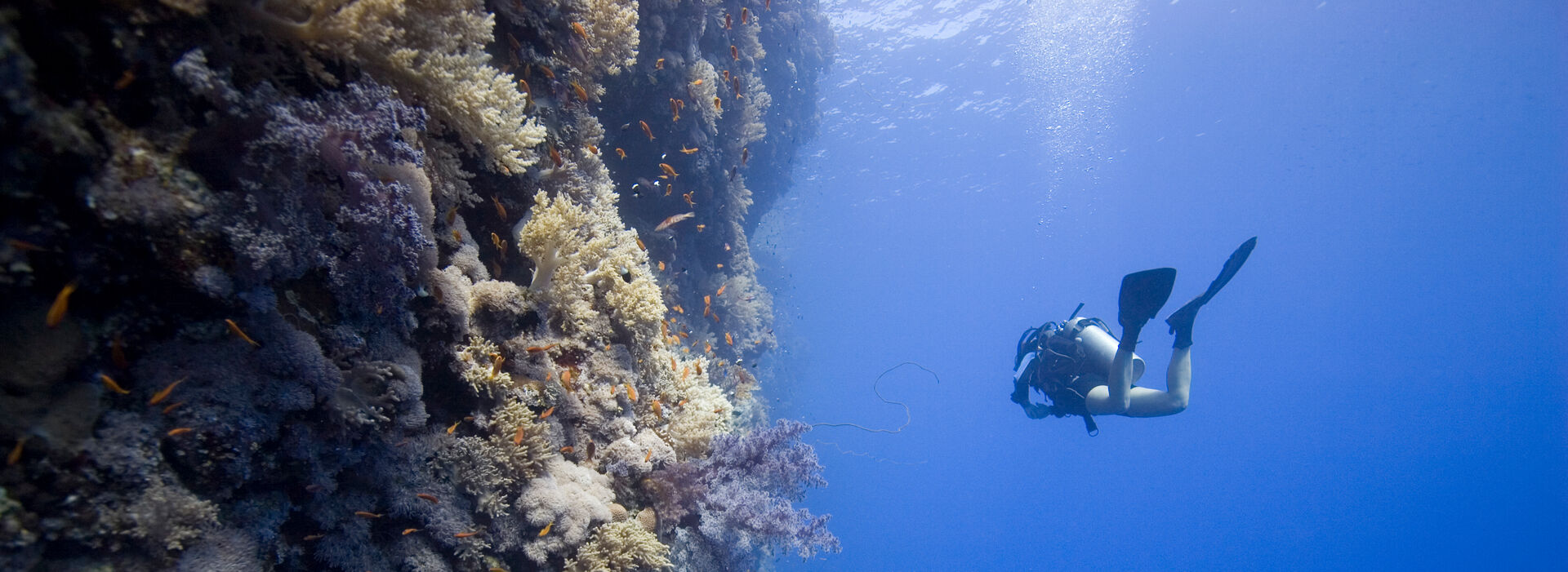 Top Wall Diving Destinations | Original Diving