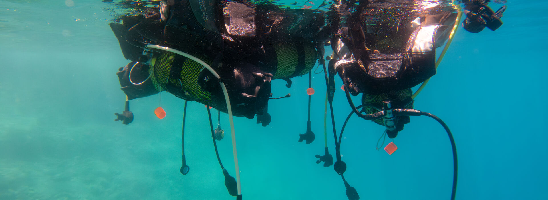 How to Pack for a Dive Trip | Original Diving
