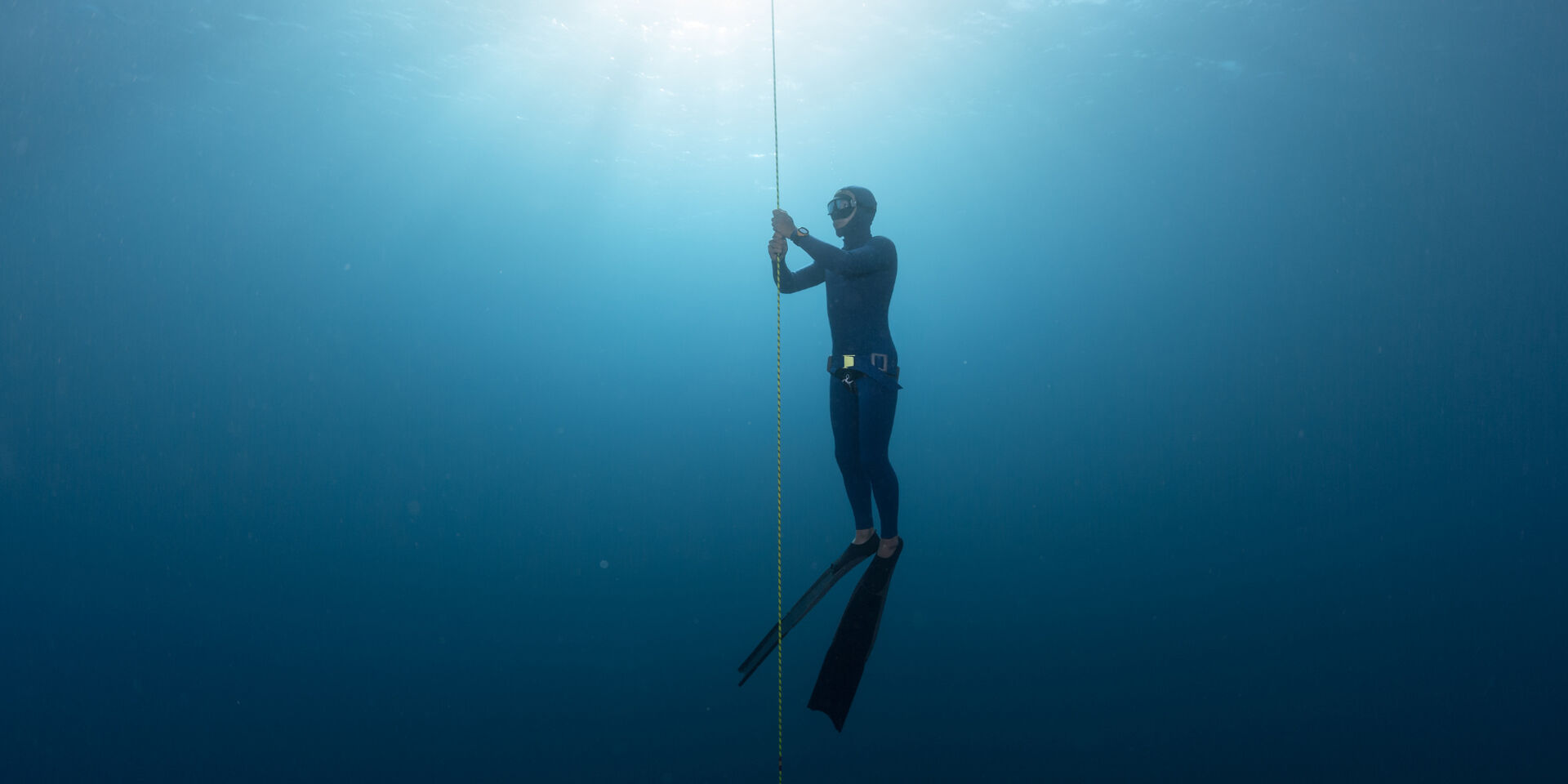 Our Favourite Freediving Facts
